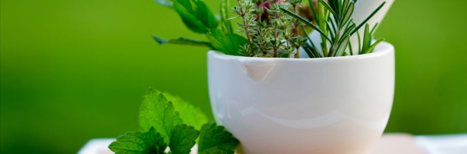 Sandra Sabaca - Naturopathe