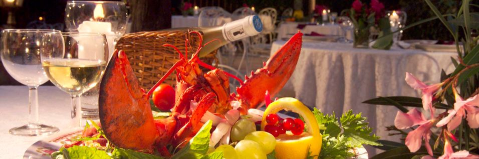 Restaurant Château de Cavanac - Restaurant Traditionnel